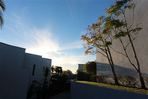 Svelte Architecture Design