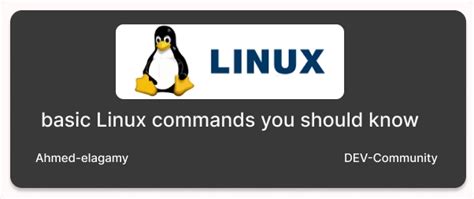 Basic Linux Commands You Should Know DEV Community
