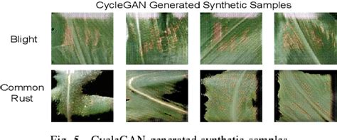 figure 5 from cyclegan based data augmentation with cnn and vision