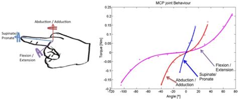 Data Obtained For The Metacarpal Joint Of The Index Finger This Data Download Scientific