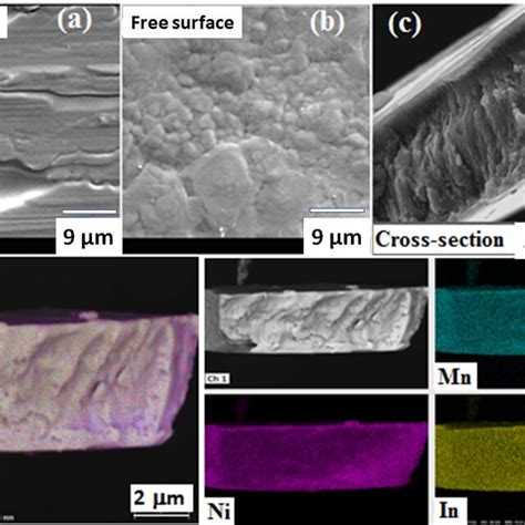 Typical Sem Micrographs Of Wheel Surface A Free Surface B Download Scientific Diagram