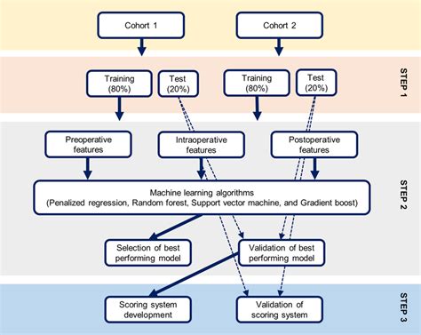 Description Of The Analysis Workflow Two Patient Cohorts Were Randomly Download Scientific