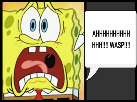 This Is Me When I See A Wasp Spongebob Squarepants Fan Art 33948550 Fanpop