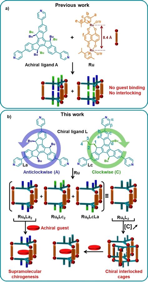 Illustration Of A The Previously Reported Chiral Self‐sorting Process