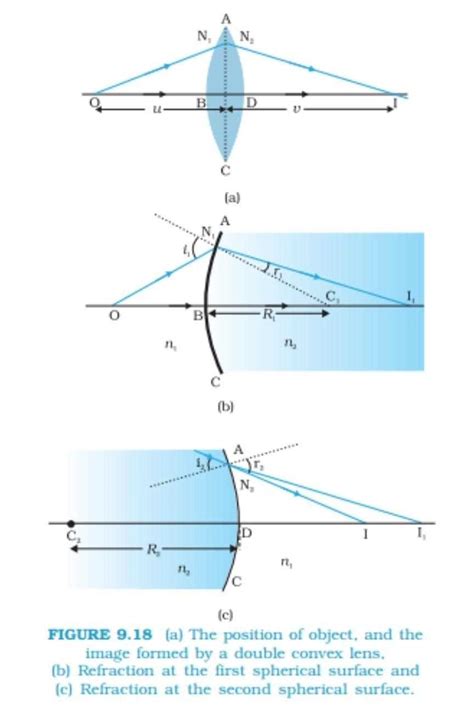 understanding the structure of a double convex lens