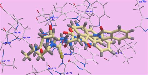 Superimposition Of Some Docked Compounds Inside The Binding Pocket Of Download Scientific