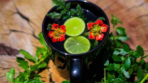 POWERFUL APHRODISIACS TO IMPROVE YOUR SEX LIFE The Nature Hill Thenaturehill Natural