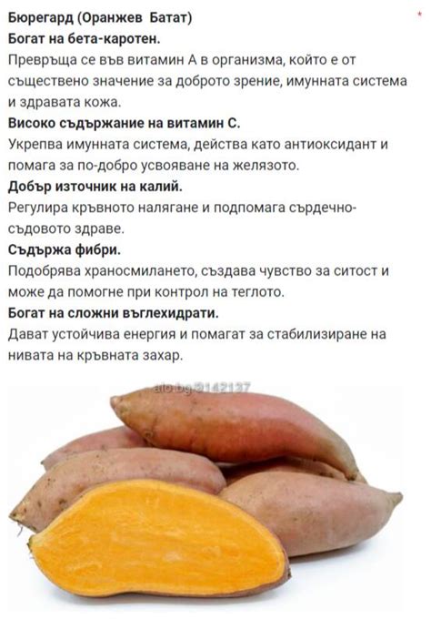 РАЗСАД Сладък картоф Батат и Гурме картоф Органичното отглеждане Растения Разсад Сем