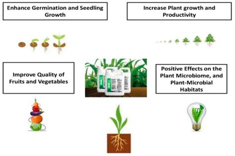 Biostimulants Application A Low Input Cropping Management Tool For Sustainable Farming Of