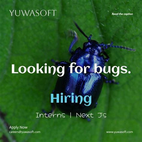 Hiring Internshipnepal Nextjs Codinginternship