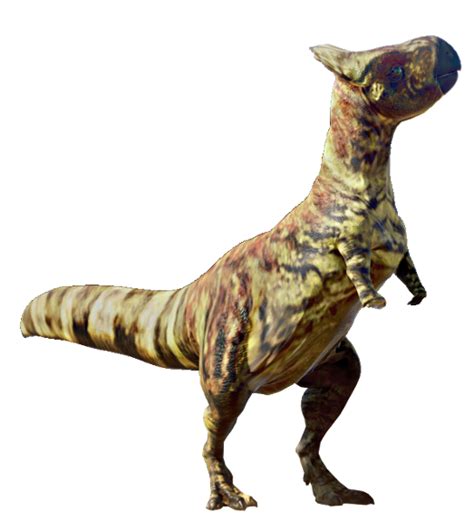 Protoceratops Jiiei Artofit