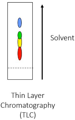 PHCY Lecture Quality Control HPLC Flashcards Quizlet