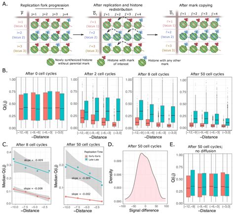 Dad Model Predictions Of Diffusion Induced Histone Mark Patterns In The