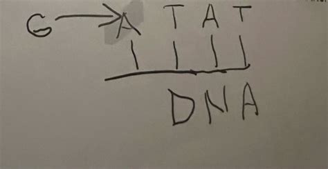 Chapter Quiz Part Flashcards Quizlet