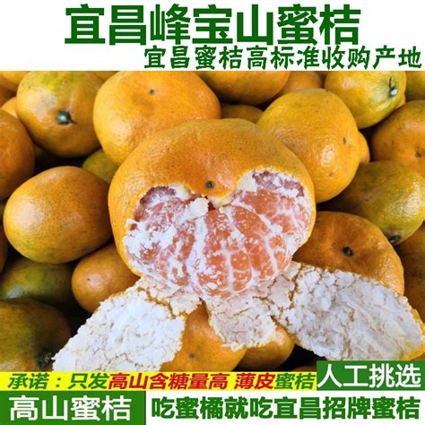 宜昌蜜桔窑湾蜜橘黑虎山峰宝山橘子细嫩无渣无籽皮薄沁甜现摘桔子 山村娃 土特产