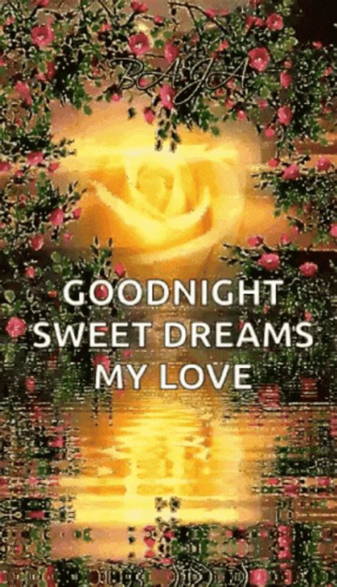 Good Night My Love S