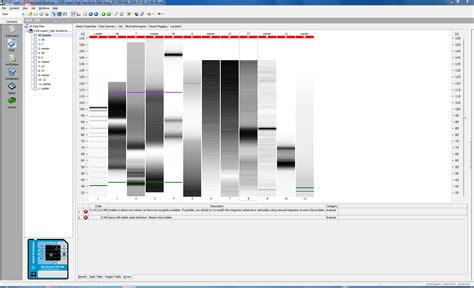 Trouble Understanding Bioanalyzer Results · Issue 966 · Robertslab Resources · Github
