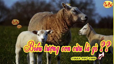 Biểu Tượng Con Cừu Là Gì