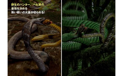 世界のヘビ最強キング大図鑑│宝島社の通販 宝島チャンネル