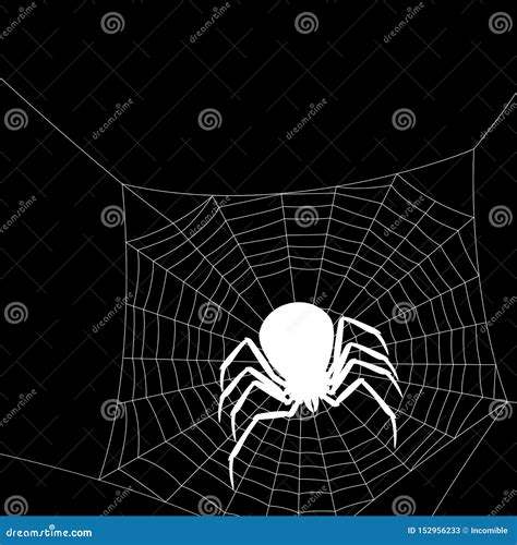 Spider Web Banner With Spiders And Bats Hanging Cobweb Background Vector Illustration