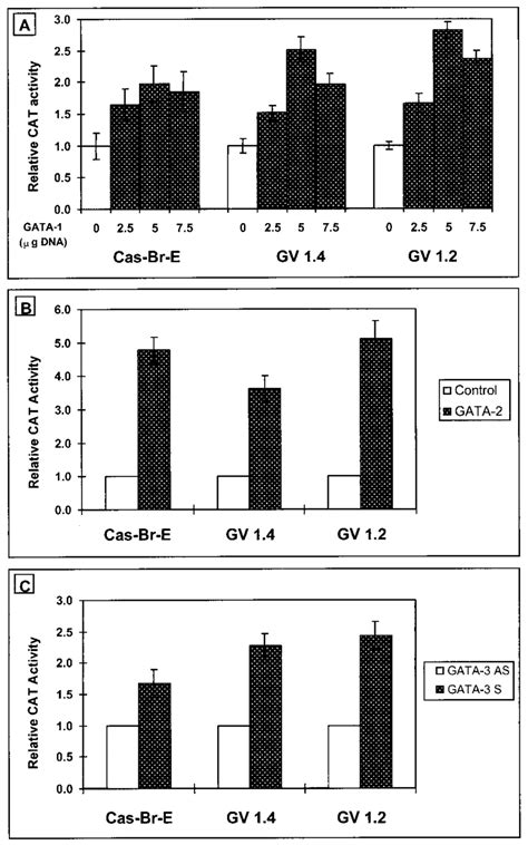 Ltr Transactivation By Gata Factors Ltr Cat Constructs Containing Download Scientific Diagram
