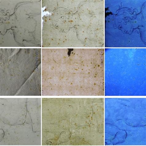 Macro Photographic Imaging Of Batch A From Left To Right Observation