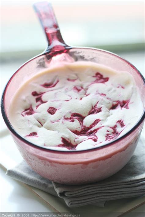 Chocolate Shavings Raspberry Semifreddo