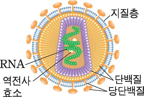 바이러스 Virus 네이버 블로그