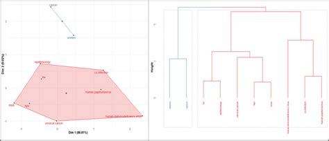 Conceptual Structure Map Using Multiple Correspondence Analysis And