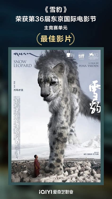 爱奇艺影业出品、万玛才旦执导电影《雪豹》荣获第36届东京国际电影节最佳影片大奖凤凰网商业凤凰网