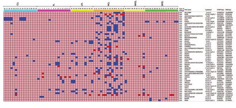 Supervised Clustering Of The Genomic Imbalances Detected By Array Cgh Download Scientific