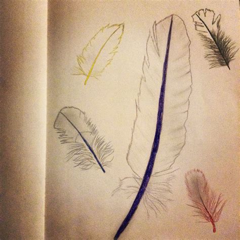 Feather Drawing With Color Feather Drawing Maple Leaf Tattoo Leaf Tattoos