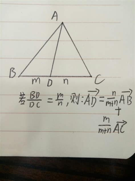 共线向量公式向量的模长公式 随意云