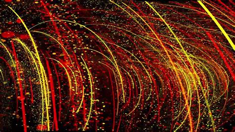 Animated Compositions Created By Stardust Plugin In After Effects Youtube