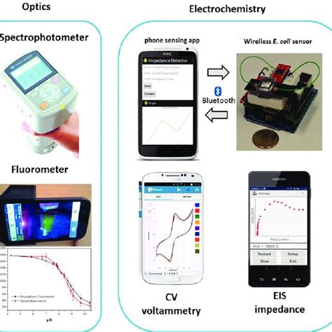 Pdf Biosensor Platforms For Rapid Detection Of E Coli Bacteria