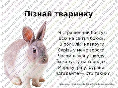 Презентація Особливості будови опису тварини 5 клас НУШ Презентація Українська мова