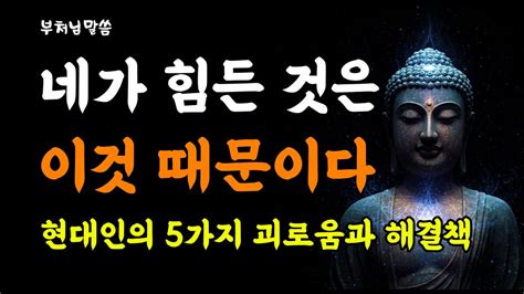 네가 힘든 것은 이것때문이다 현대인의 5가지 괴로움과 해결책 부처님말씀 부처님 명언 불교명언 석가모니 말씀 오디오북 Youtube