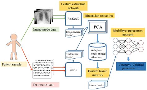 Figure 1 From Disease Classification Model Based On Multi Modal Feature Fusion Semantic Scholar