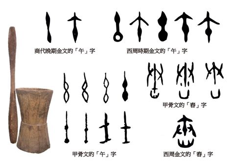 甲骨文的來與麥和中國小麥的身世之謎 CASE 報科學