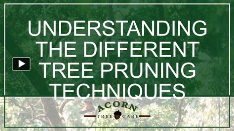 PPT Unlock The Secrets Of Tree Pruning Techniques Enhance Your Garden Today PowerPoint