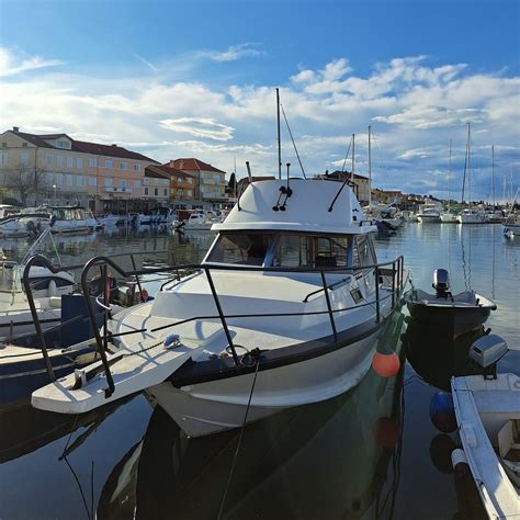 Elena I Drago 2026 All You Must Know Before You Go W Reviews