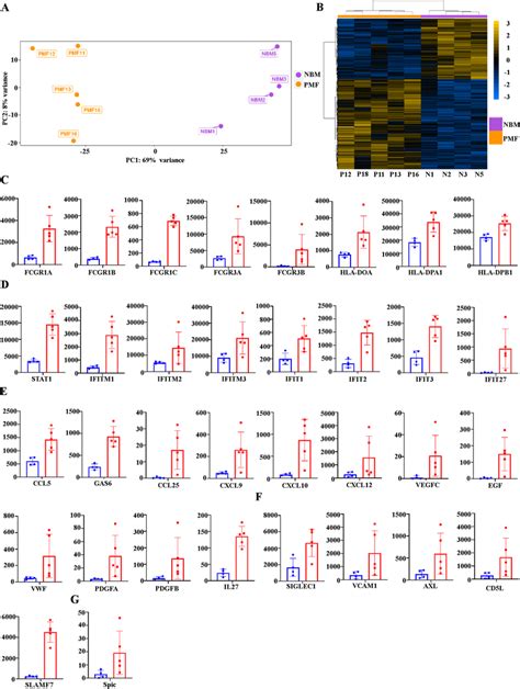 Comparison Of Rna Seq Data Of Monocytes Macrophages Between Pmf Download Scientific Diagram