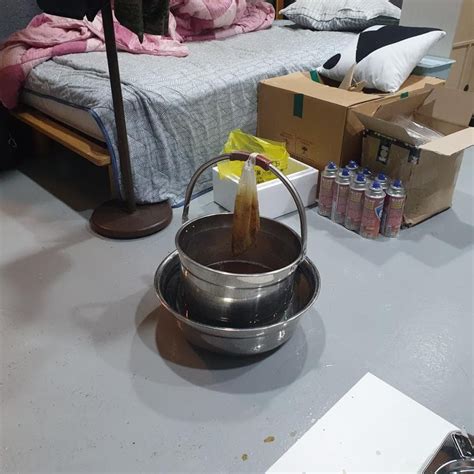 맥주지옥 브이로그 실시간 베스트 갤러리