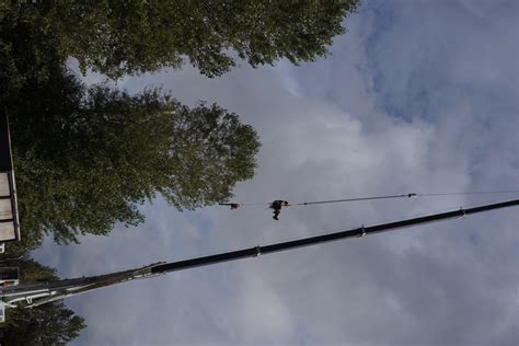 Photo Gallery For Ace Tree Recycling Ltd Near Hamilton Cambridge