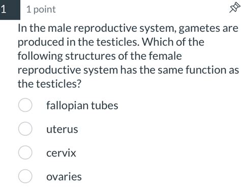 1 1 Point In The Male Reproductive System Gametes Are Produced In The Testicles Which Of The