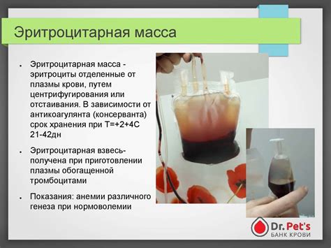 Трансфузия при ретровирусной инфекции кошек Online Presentation
