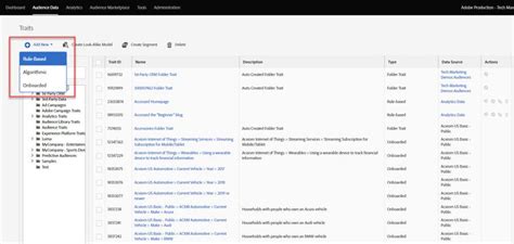 Set Up Audience Manager With Platform Web Sdk Adobe Data Collection