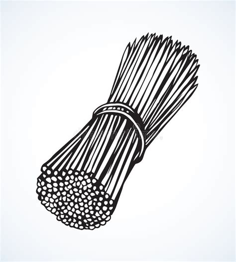 Toothpicks Vector Drawing Stock Vector Illustration Of Dental 156915652