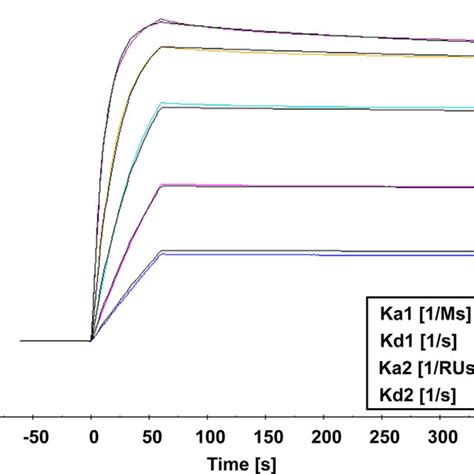 A Construct Of The Puromycin Linker With 3 Cyanovinylcarbazole Download Scientific Diagram