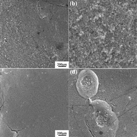 Ocp Time Curves Of Coatings Prepared With Different Graphite Content A Download Scientific